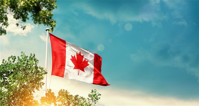 MapleLife Nutrition: Proudly Canadian, Committed to Your Health ...