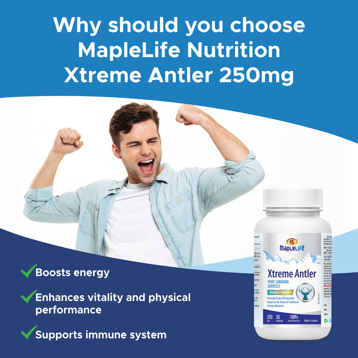 Xtreme Antler 250 mg 30 Capsules – MapleLife Nutrition