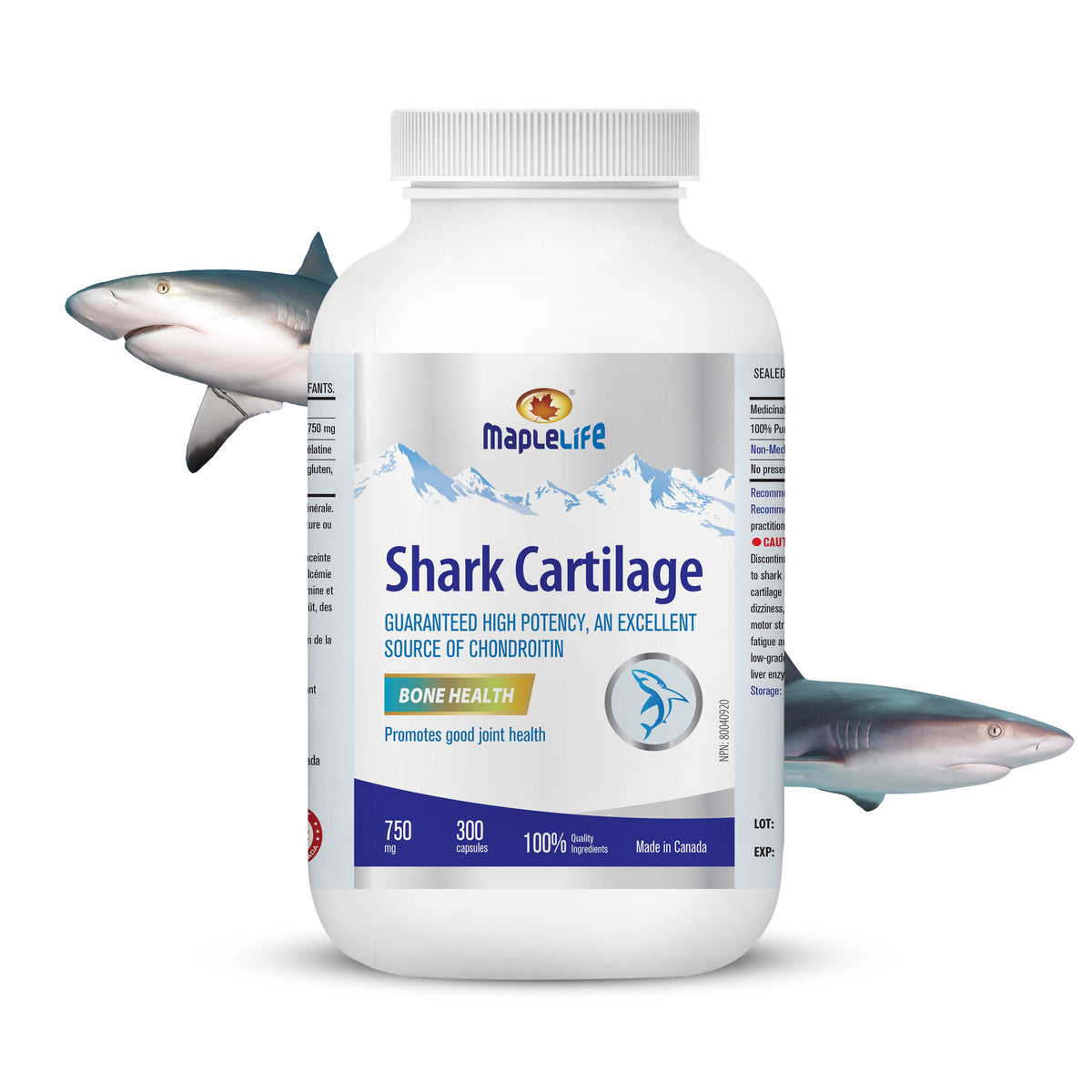 Shark Cartilage 750mg 300 Capsules – MapleLife Nutrition