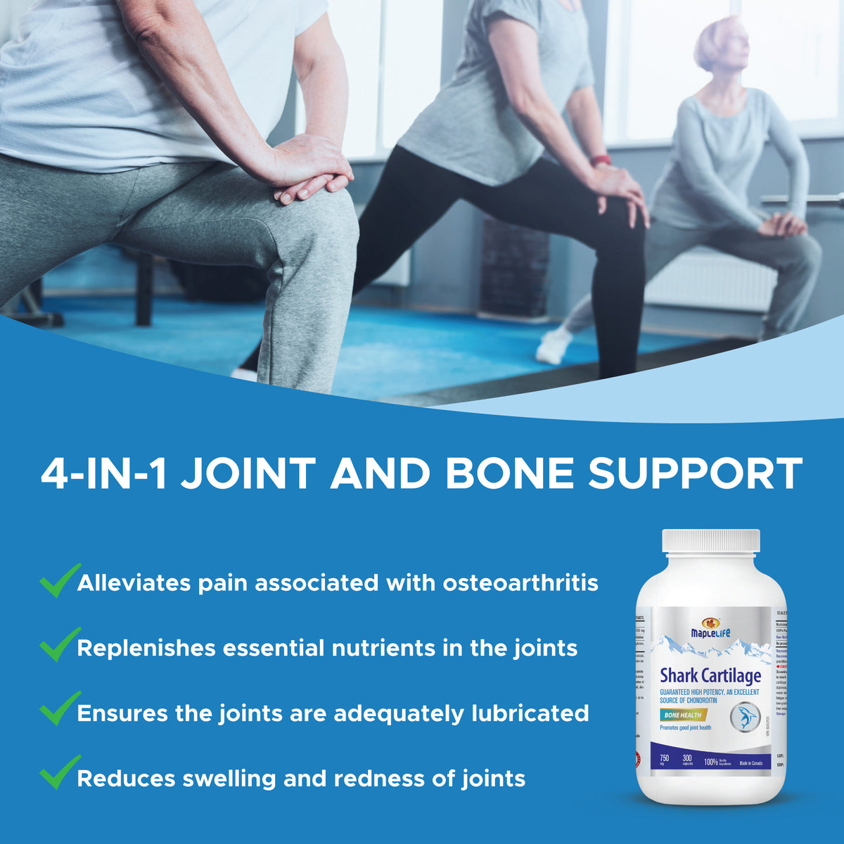 Shark Cartilage 750mg 300 Capsules – MapleLife Nutrition