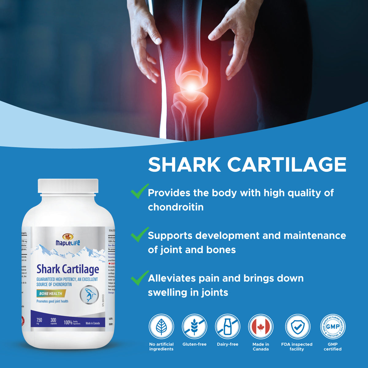 Shark Cartilage 750mg 300 Capsules – MapleLife Nutrition